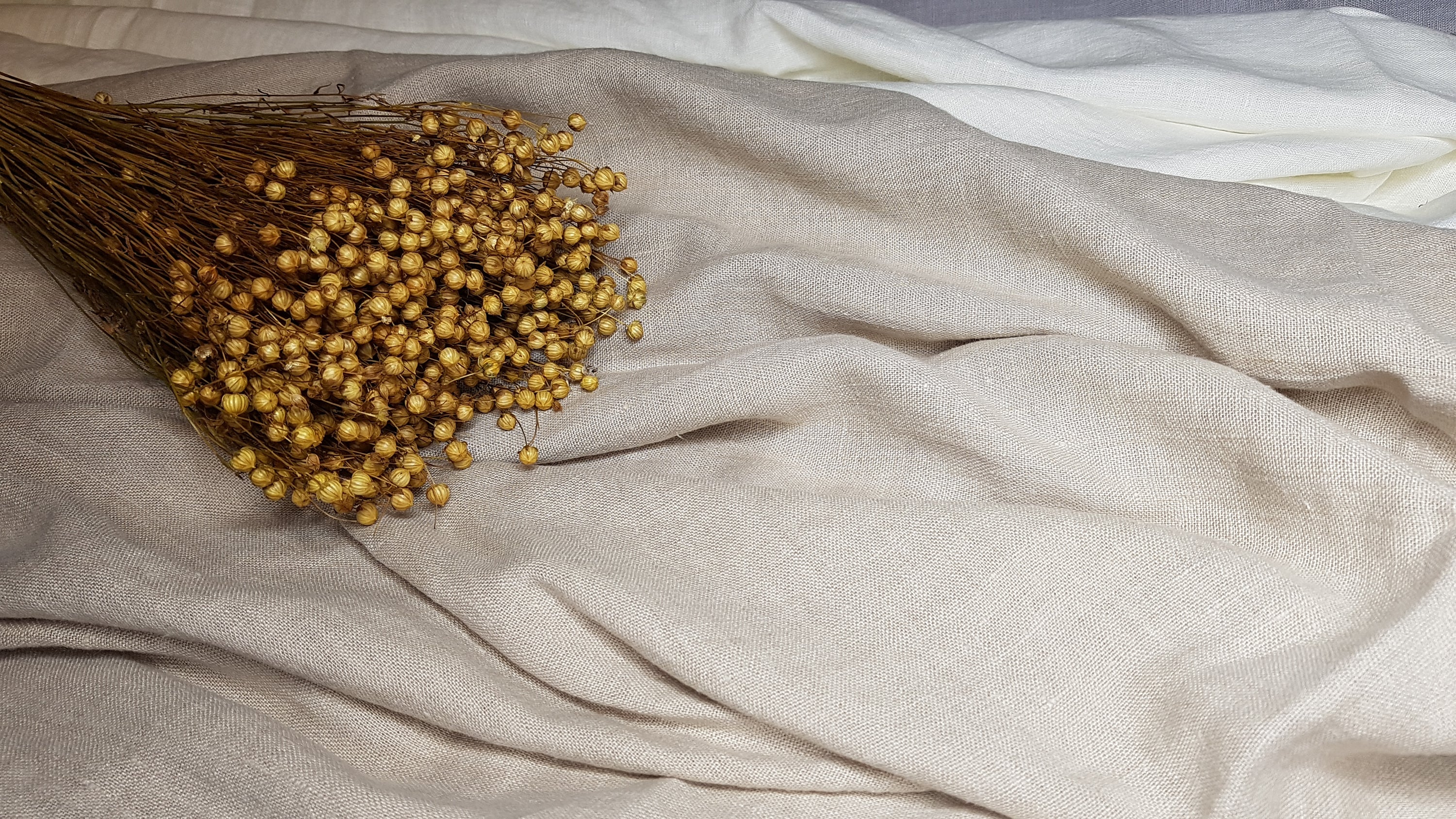 LINEN FABRIC PROPERTIES, CHARACTERISTICS AND MORE – LeMoor